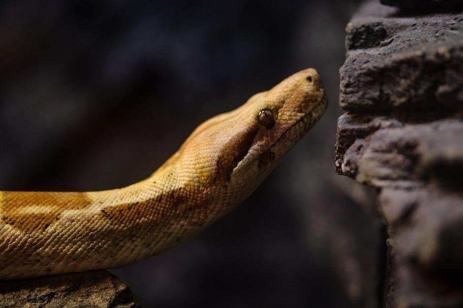 Head First Java PDF: Learn Java the Fun Way!